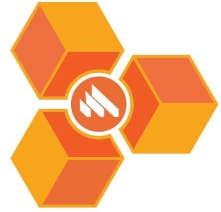 MEGASOFT – Software solution and IT outsourcing services